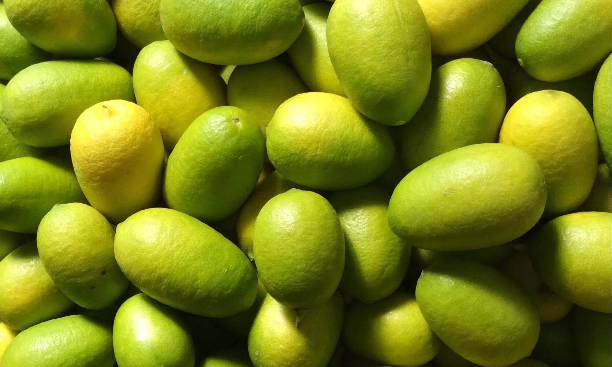 How Did Assam's Kaji Nemu Become the State's Official Fruit? - Always First
